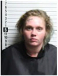 High speed chase down U.S. 17 leads to crash | Features | newsargus.com