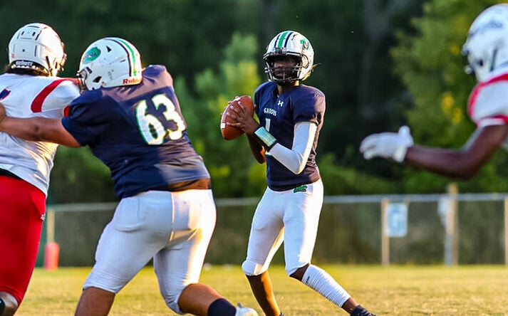 Wayne Christian shuts out Spring Creek | Sports | newsargus.com