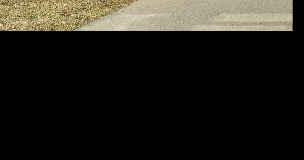 Guarding fallen patriots and their families | News | newsargus.com