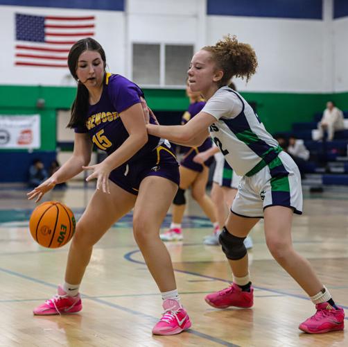 Spring Creek vs. Rosewood boys and girls basketball | Local News ...