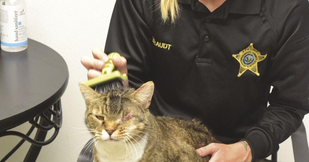 Sheriff’s office dogs county for new building | News | newsargus.com