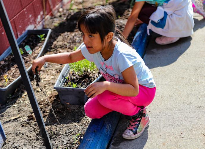 Second graders learn gardening, life lessons | Local News | newsargus.com