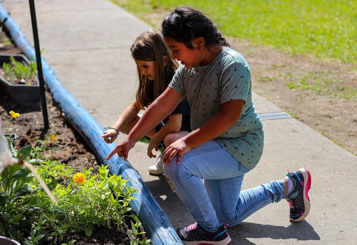 Second graders learn gardening, life lessons | Local News | newsargus.com