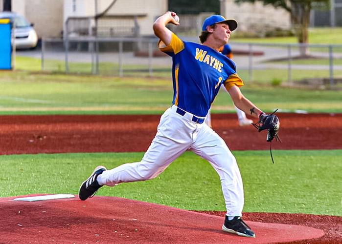 Wayne County advances to Area I West finals | Sports | newsargus.com