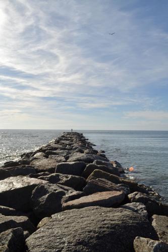 jetty groin difference