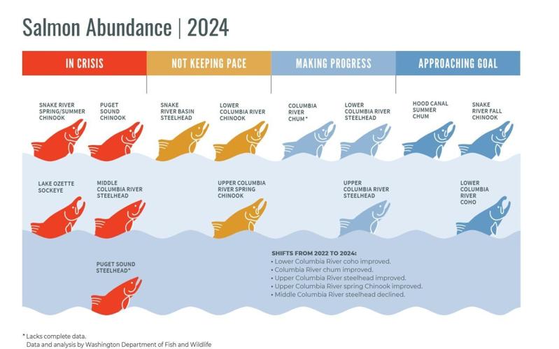 Washington's State of Salmon Report Indicates Progress | Environment ...