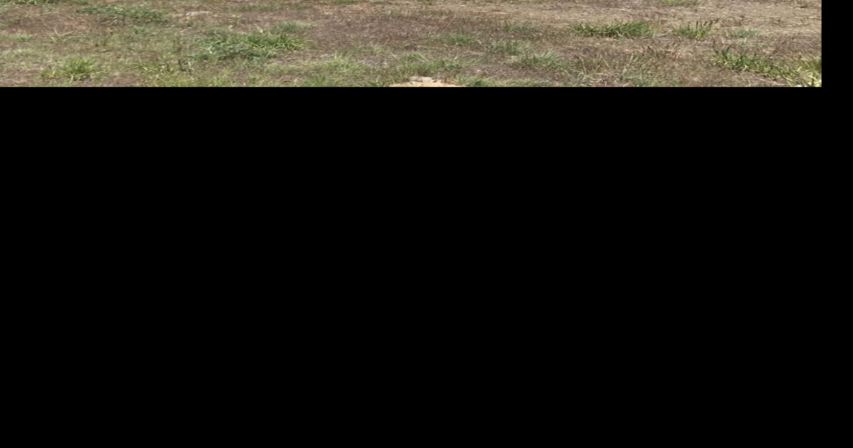 Puget Sound Energy Adds Enhanced Power Line Settings, PSPS to Its ...