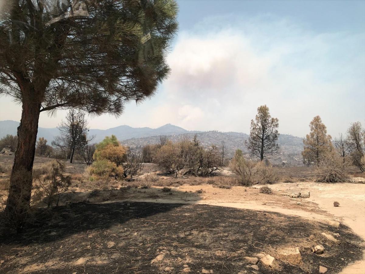 SCE Files Cost-Recovery Application for Four Fires, Wildfire Mitigation ...