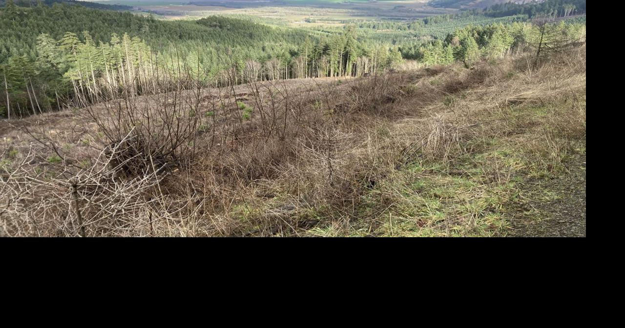 PNGC Power Joins Northwest Requirements Utilities, Along With 14 New ...