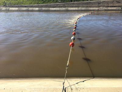 CEC: Turbine 'Renaissance' Opens In-Conduit Hydropower Potential ...