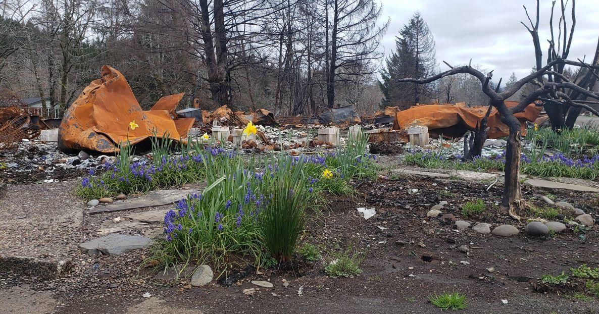 PacifiCorp Facing $56M+ in Damages From Latest Oregon Wildfire Verdict ...
