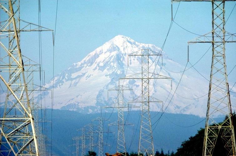 Guest: Letter to BPA Utility Customers and Northwest Consumers ...