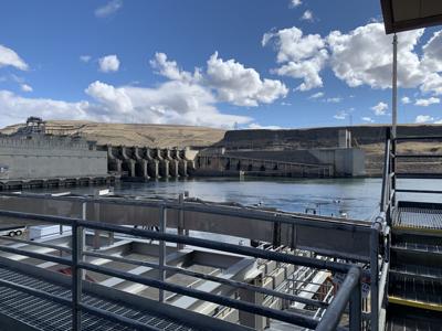Concerns Over Lower Monumental Dam's Fluctuating Spill Continue ...