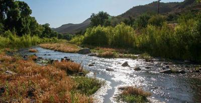 Federal Judge Clears Path for SunZia Line Through Arizona's San Pedro ...