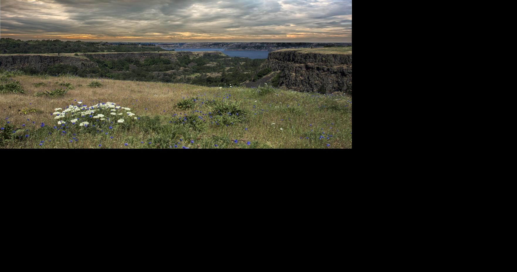 Final CRSO EIS Offers New Info, Same Preferred Alternative ...