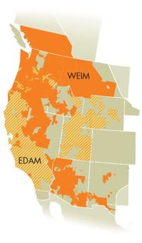 Market Participants Say Countdown to EDAM Testing Is Underway ...