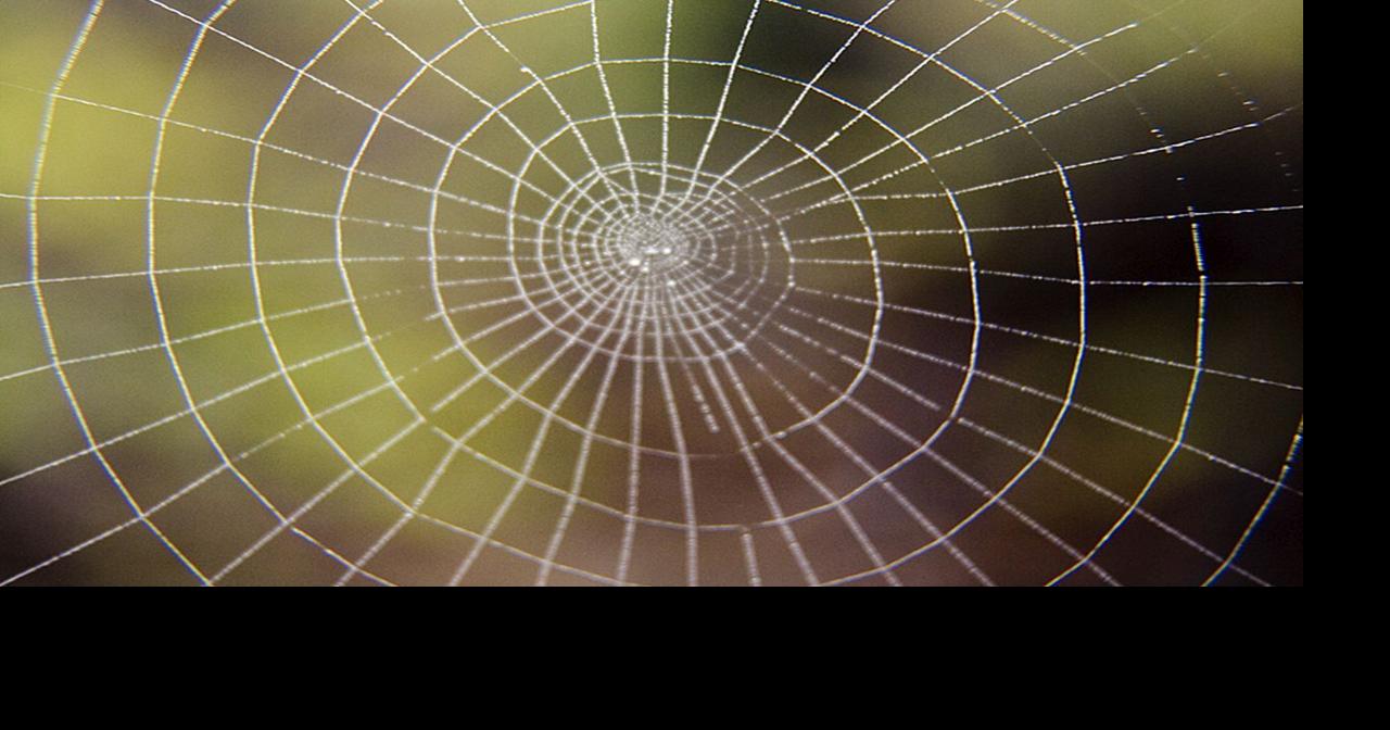 Tangled Web: The Utility Contract Audit That Can't Seem to Get ...