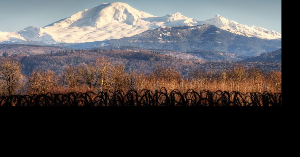 Washington Bill Authorizing Public Entities to Contract for Power ...