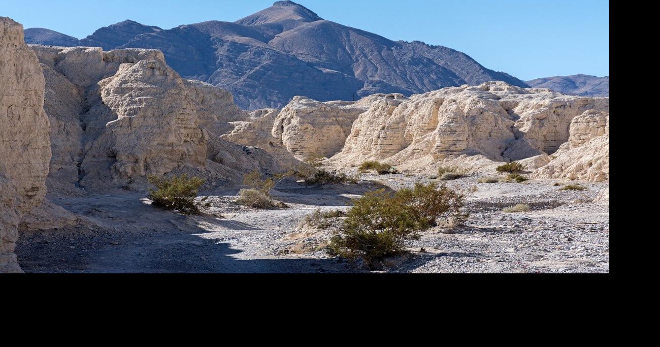 NV Energy's Greenlink West Line Faces Prehistoric Permitting Challenge ...