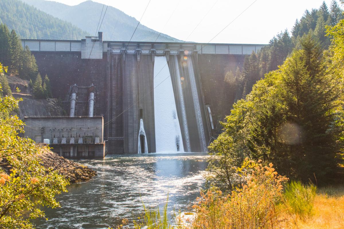 Corps Explains Details of Willamette Valley Project EIS | Hydro News ...