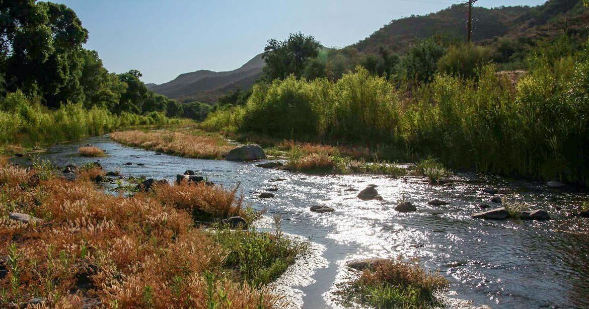 Pattern Expects May Approval for SunZia Line, Despite Looming Arizona ...