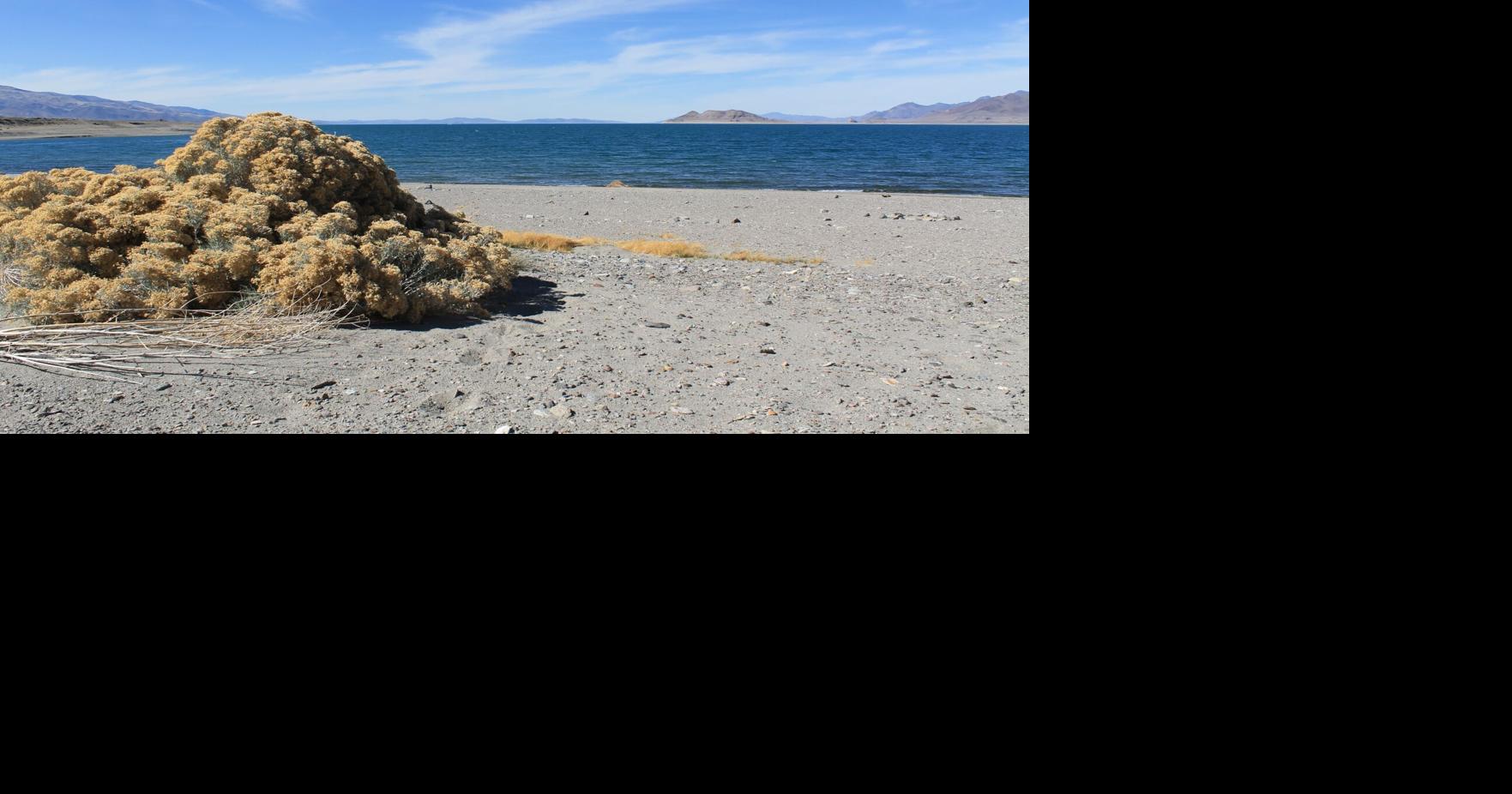 Pyramid Lake Paiutes Intervene in Proposed 2,000-MW Pumped-Storage ...