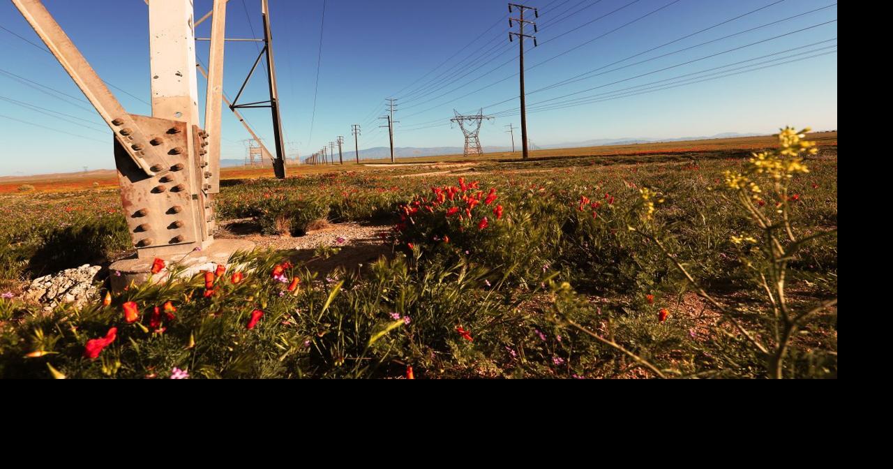 CAISO Working on Bilateral Trades Between Scheduling Coordinators in ...