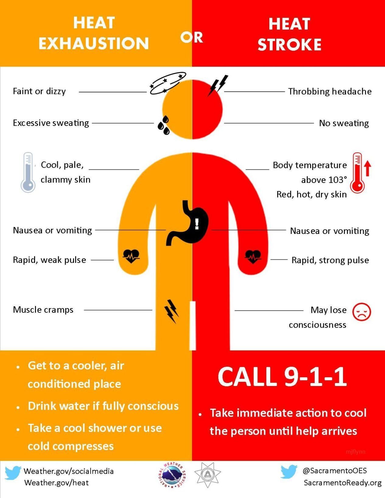 Dog Days of Summer are here: Stay cool and prepared | News ...