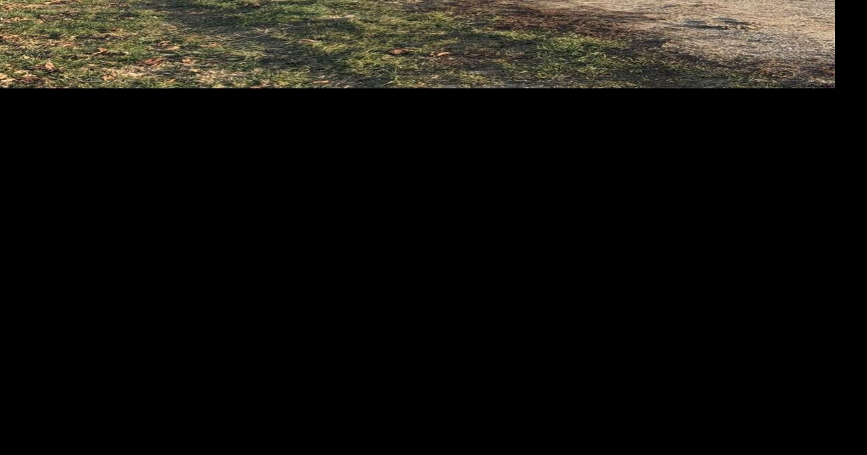 Camper fire results in total loss | News | newsexaminer.com