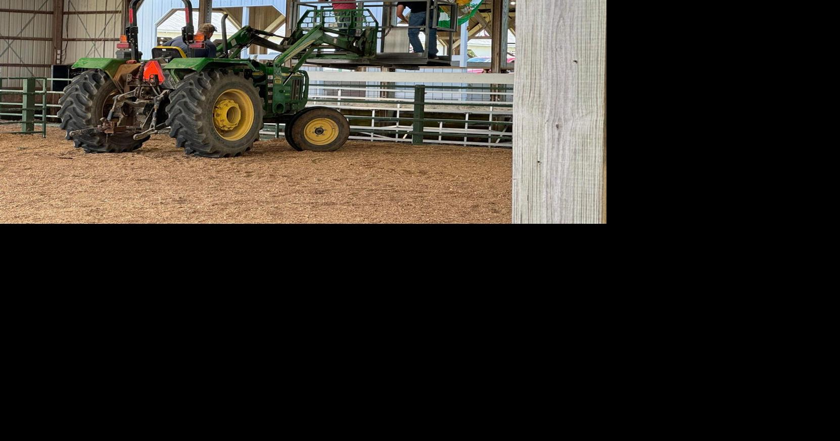 4-H judging is right around the corner... | News | newsexaminer.com