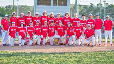 Spartan baseball wins second straight sectional title | Sports ...