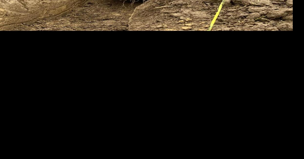 Muddy day of contesting | News | newsexaminer.com