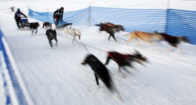 IFSS Championships | Sports | newsminer.com