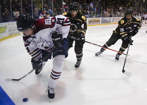 Ice Dogs pile on goals against Kenai River | Ice Dogs | newsminer.com