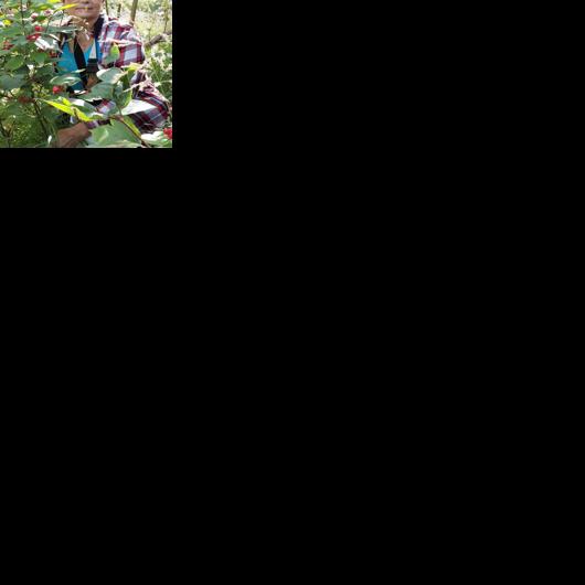 History and heritage flow in the works of Selina Alexander | Becoming ...