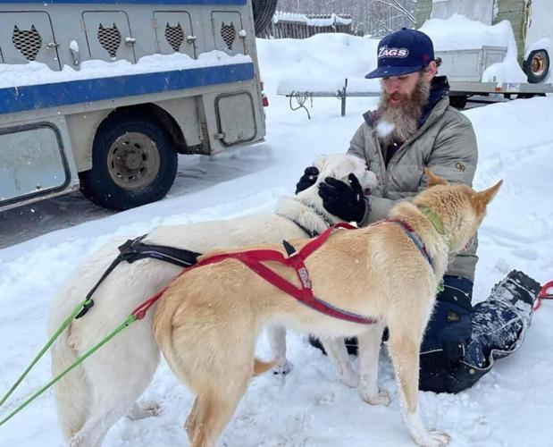 Three sled dogs dead in second mushing collision in a month | Local ...