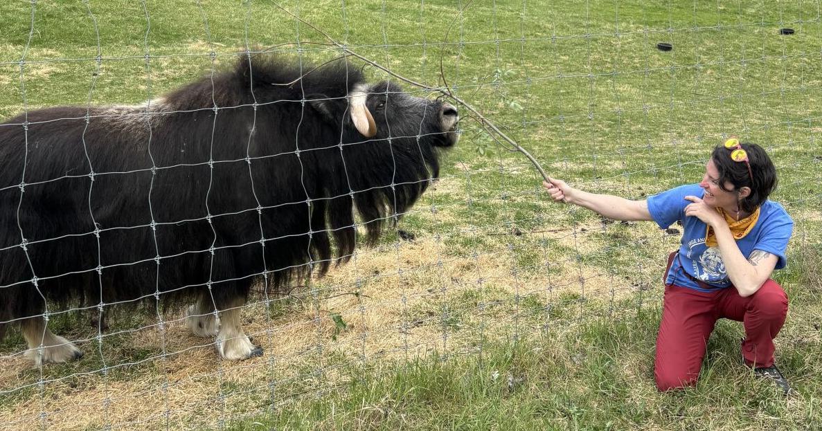 Locals Day coming to Large Animal Research Station | Outdoors ...