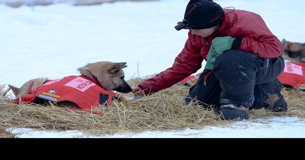 Youngest Quest musher, Laura Neese, upbeat on the trail | Yukon Quest ...