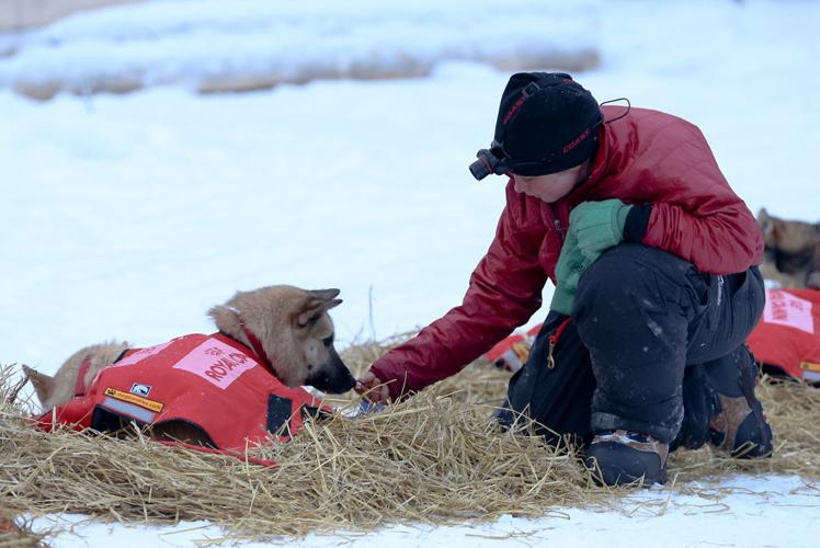 Youngest Quest musher, Laura Neese, upbeat on the trail | Yukon Quest ...