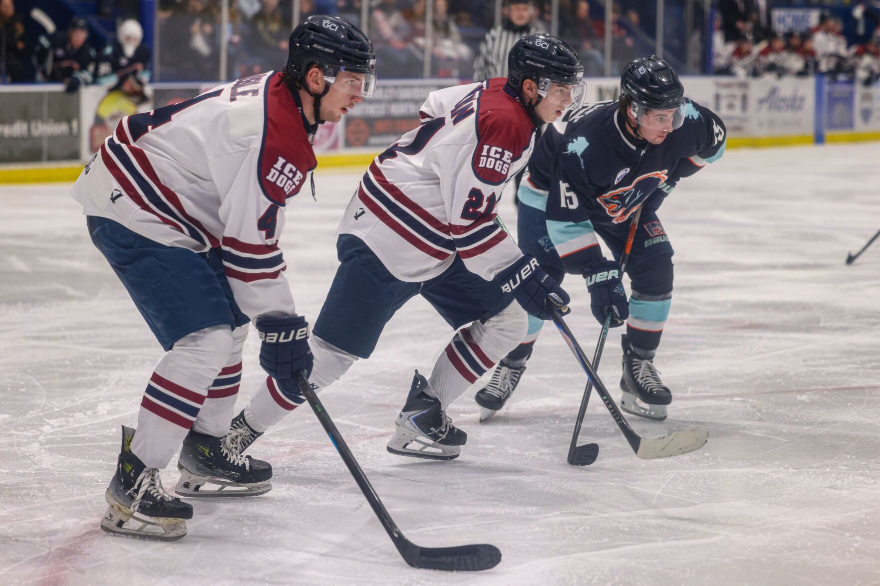 Ice Dogs set for second to last series vs Anchorage as Club 49 cup race ...