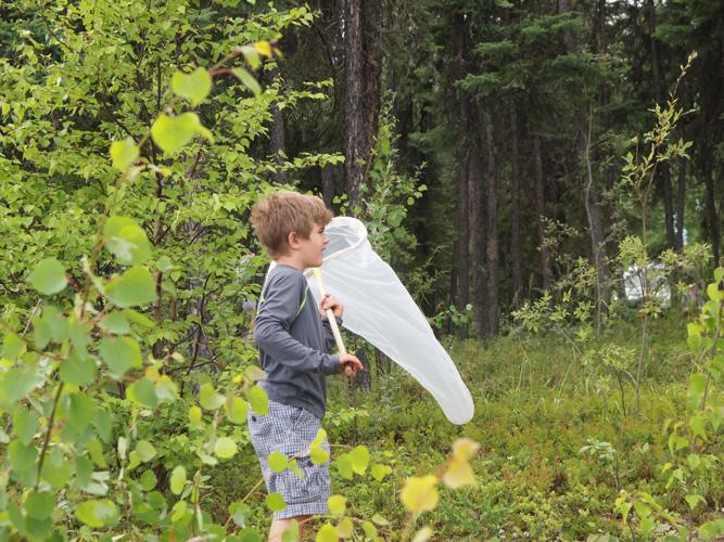 Fairbanks children and adults alike delight in annual Dragonfly Day ...