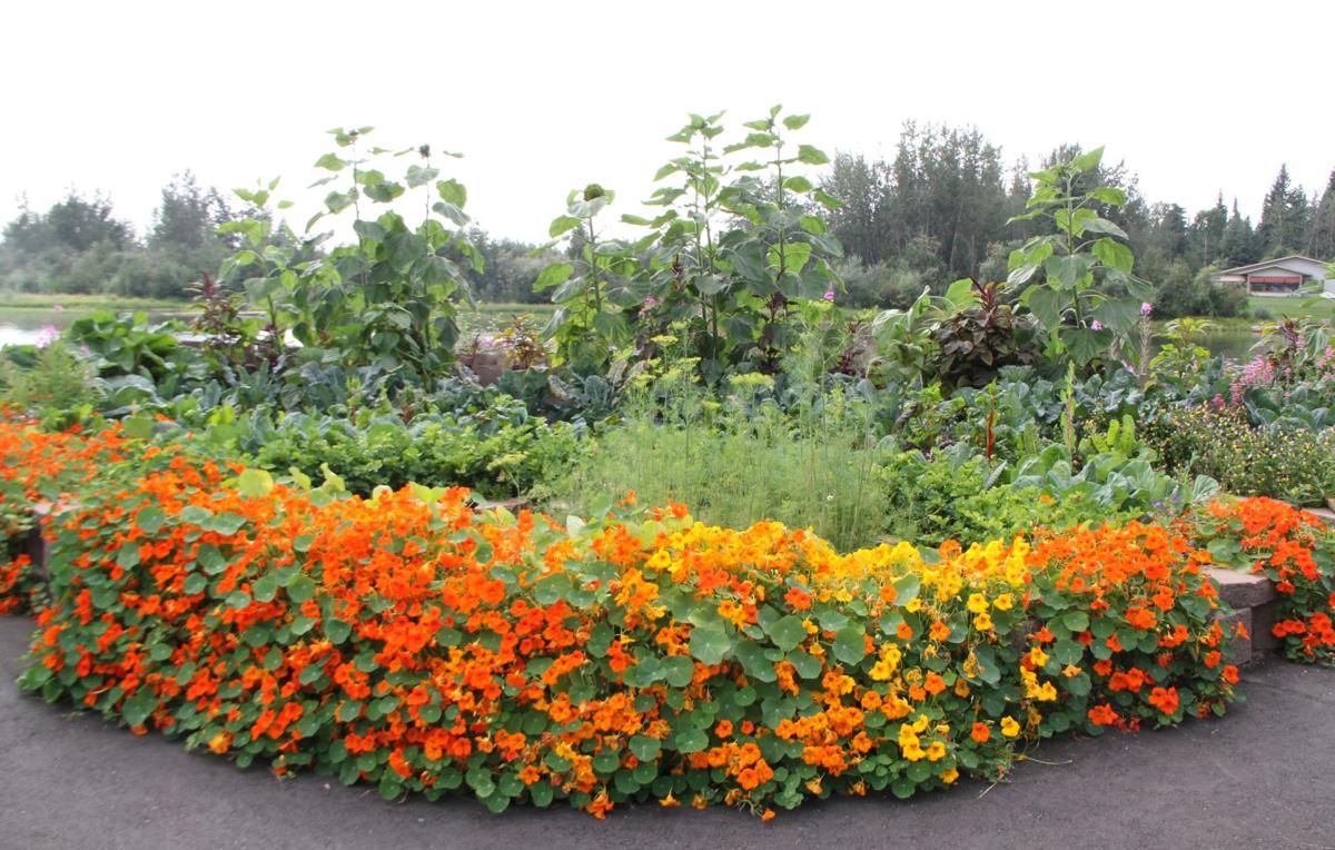 The Princess garden: beautiful, productive and sustainable | Gardening ...