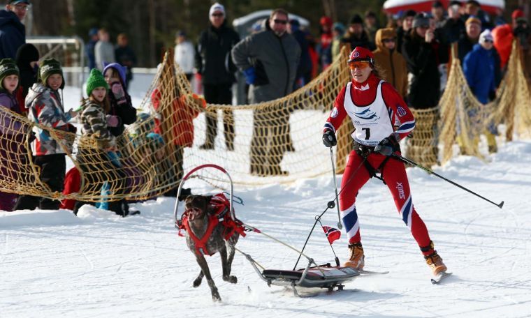 IFSS Championships | Sports | newsminer.com
