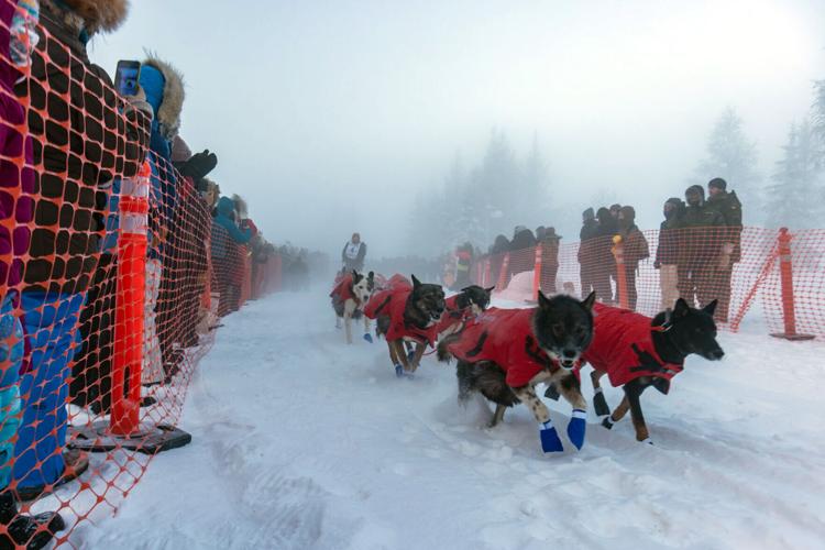 2024 Yukon Quest Alaska start marked by fog, freeze and frenzy | Local ...