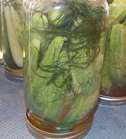 Big M Farm shares its secrets for perfect pickles | Food | newsminer.com