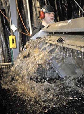 Juneau hatchery’s fry numbers not chump change | Alaska News ...