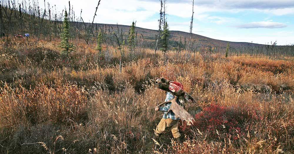 Field dressing a moose key to a successful hunt | Outdoors | newsminer.com