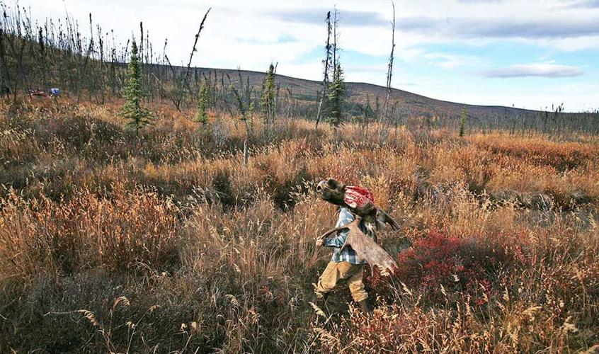 Field dressing a moose key to a successful hunt | Outdoors | newsminer.com