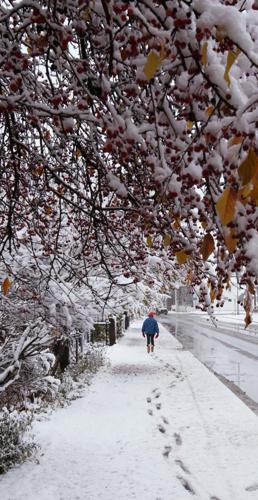 Winter storm knocks out power, snarls roads in Interior Alaska | Local ...