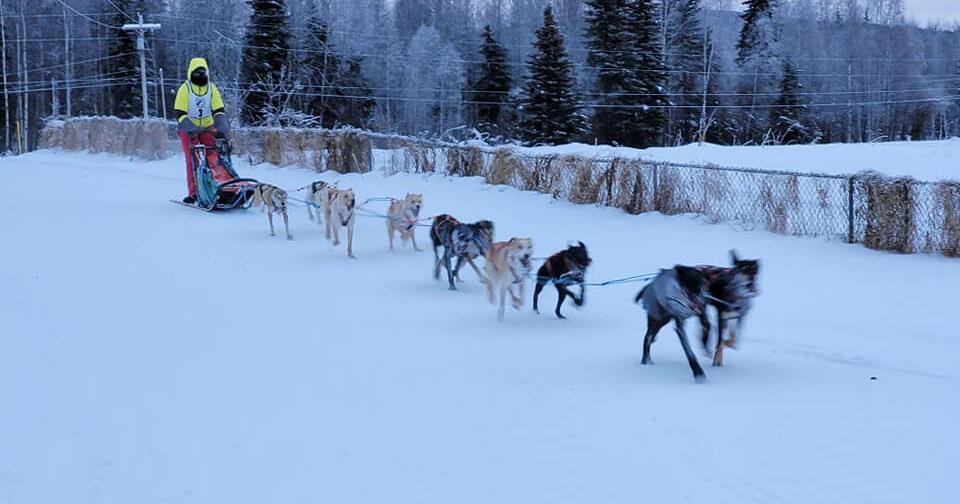 Alaska Dog Mushers Association offers rookie and new musher orientation ...